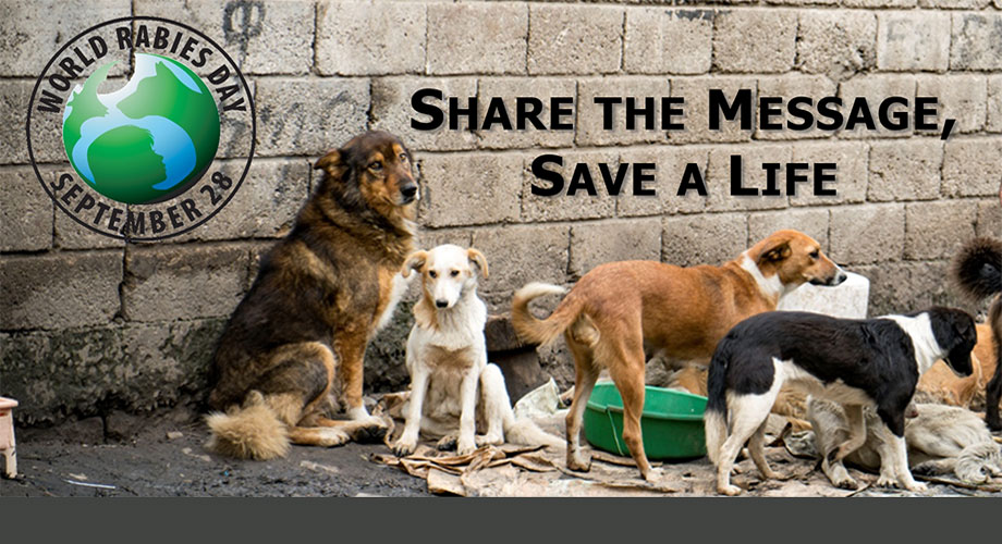 Rabies - Cook County Department of Public Health