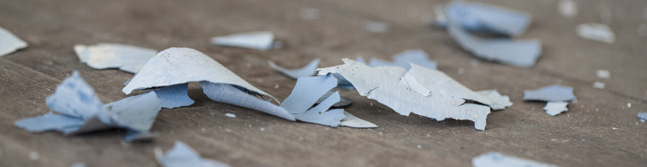 Lead Poisoning Information for Healthcare Providers - Cook County ...