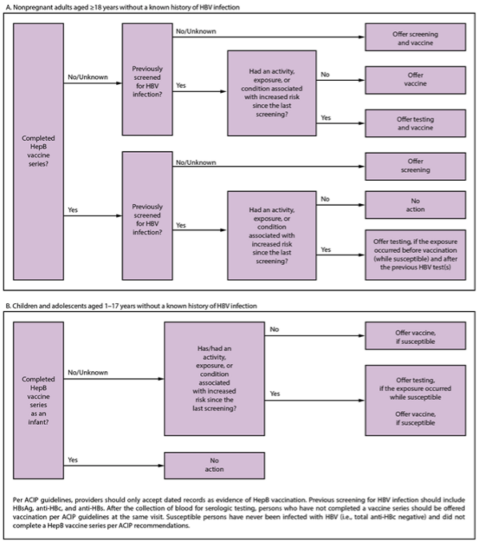 Hepatitis B Information for Healthcare Providers - Cook County ...
